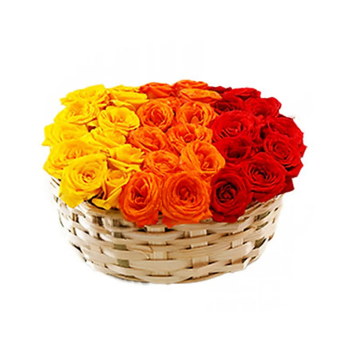 Button Rose — Giri USA